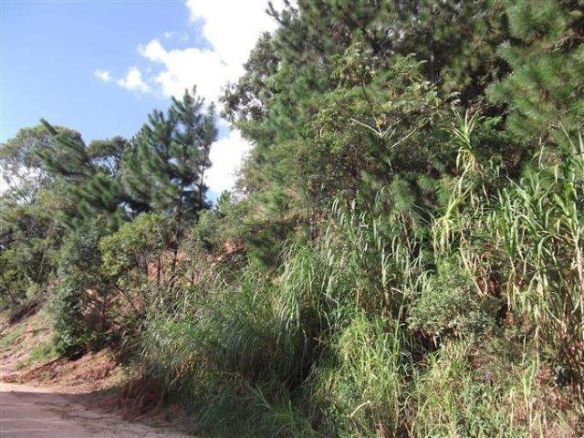 Terreno / Lote para Venda em Atibaia/SP San Fernando Valley