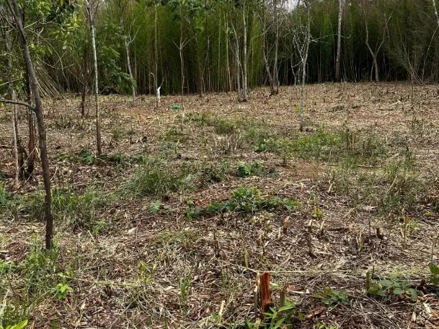 Terreno / Lote para Venda em Atibaia/SP Portão
