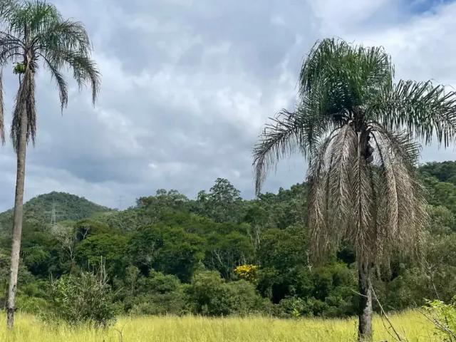 Terreno / Lote para Venda em Atibaia/SP Portão