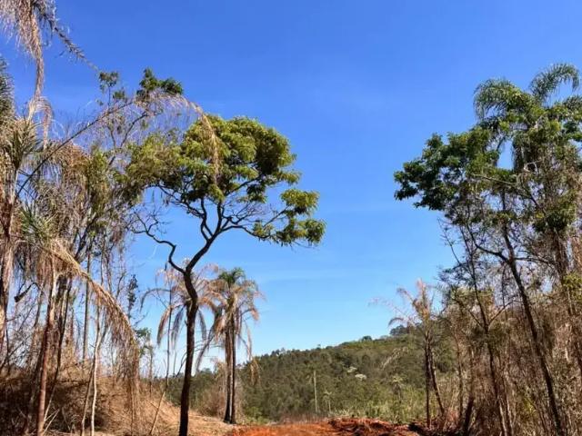 Terreno / Lote para Venda em Atibaia/SP Portão