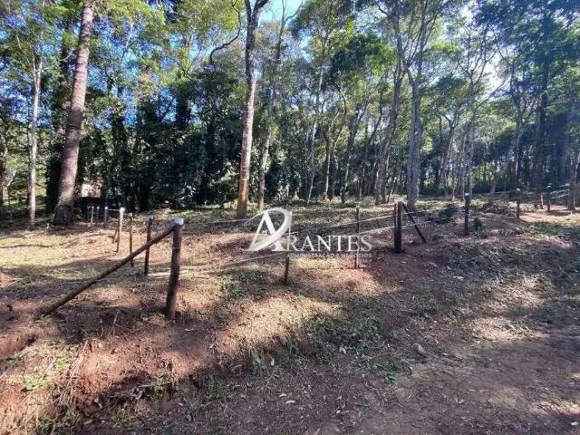 Terreno / Lote para Venda em Atibaia/SP Portão
