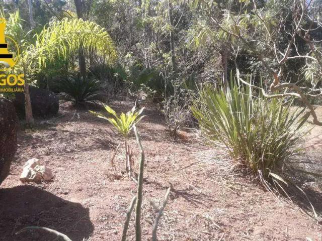 Terreno / Lote para Venda em Atibaia/SP Portão