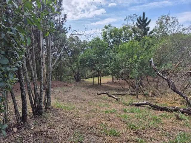 Terreno / Lote para Venda em Atibaia/SP Parque Fernão Dias