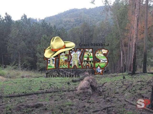 Terreno / Lote para Venda em Atibaia/SP Rosário