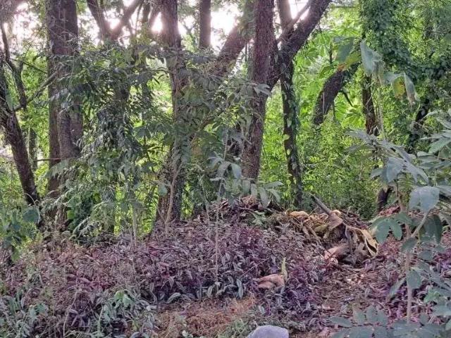 Terreno / Lote para Venda em Atibaia/SP Retiro das Fontes