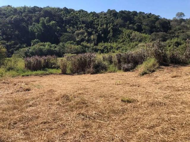 Terreno / Lote para Venda em Atibaia/SP Ribeirão dos Porcos