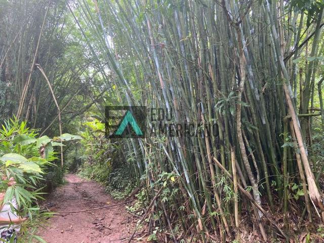 Terreno / Lote para Venda em Atibaia/SP Ribeirão dos Porcos
