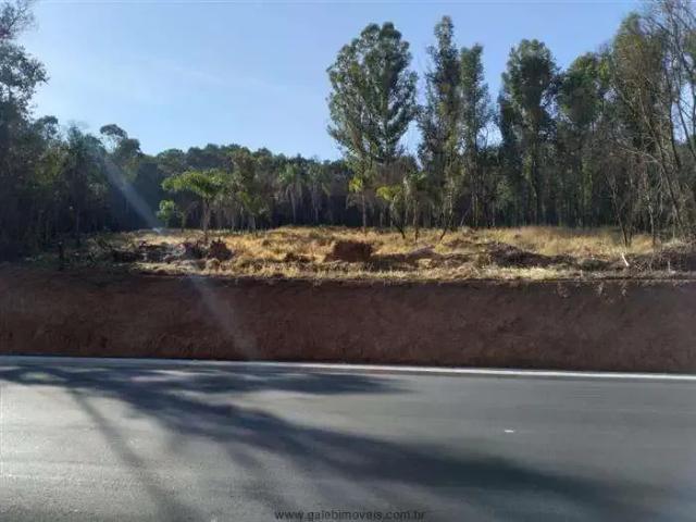 Terreno / Lote para Venda em Atibaia/SP Rio Abaixo