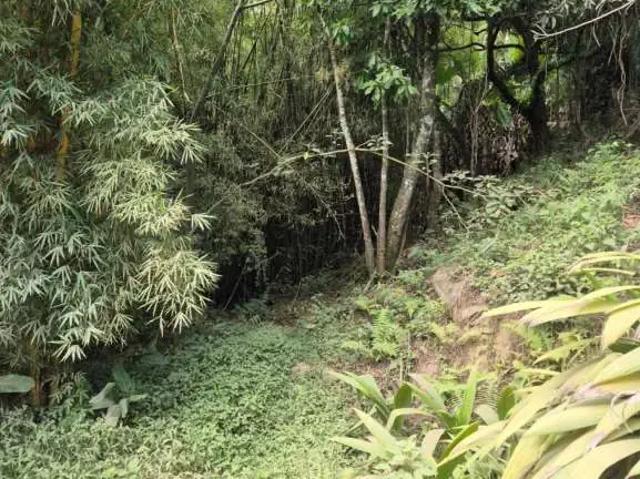 Terreno / Lote para Venda em Atibaia/SP Rio Acima