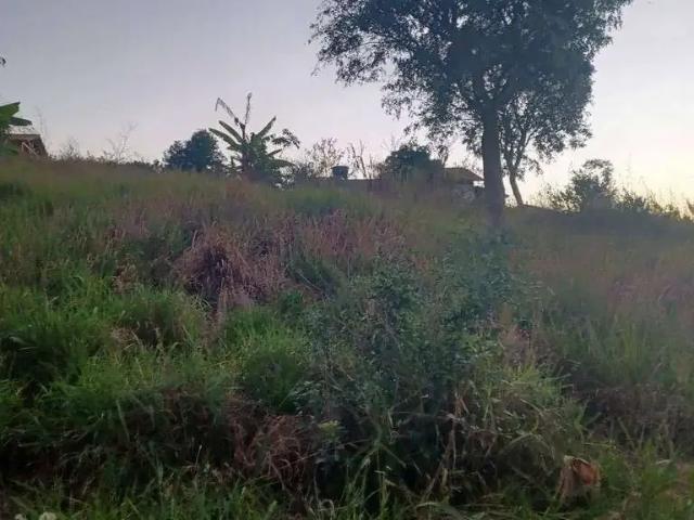 Terreno / Lote para Venda em Atibaia/SP Vitória Régia