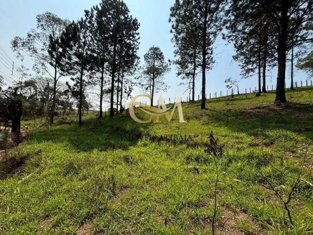 Terreno / Lote para Venda em Atibaia/SP Vitória Régia