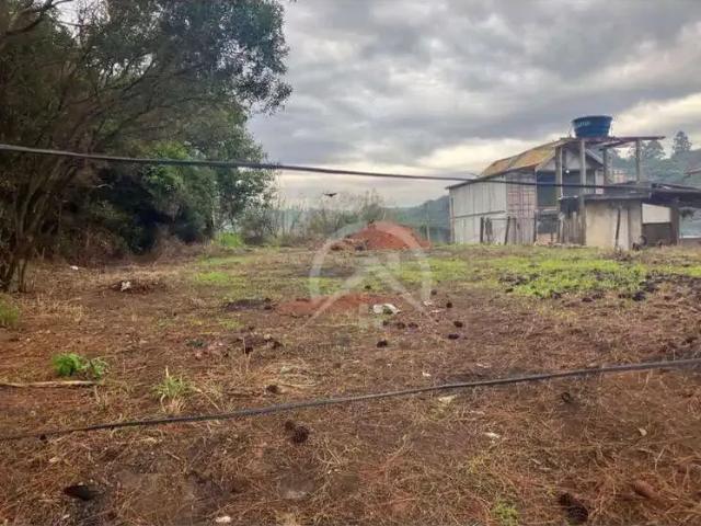 Terreno / Lote para Venda em Atibaia/SP Vitória Régia