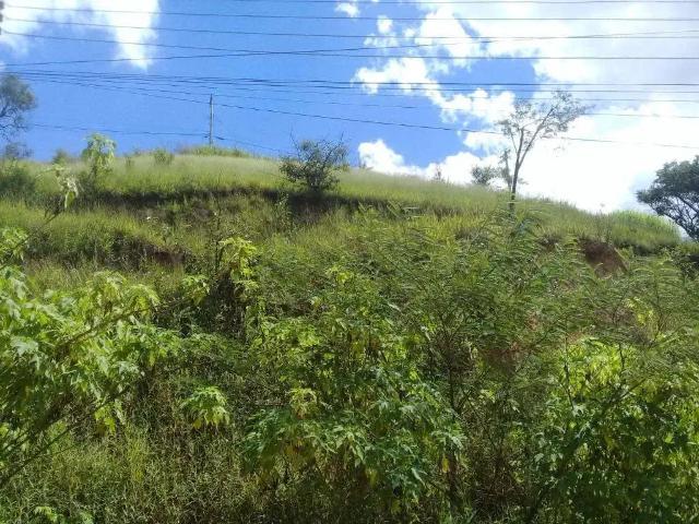 Terreno / Lote para Venda em Atibaia/SP Vitória Régia