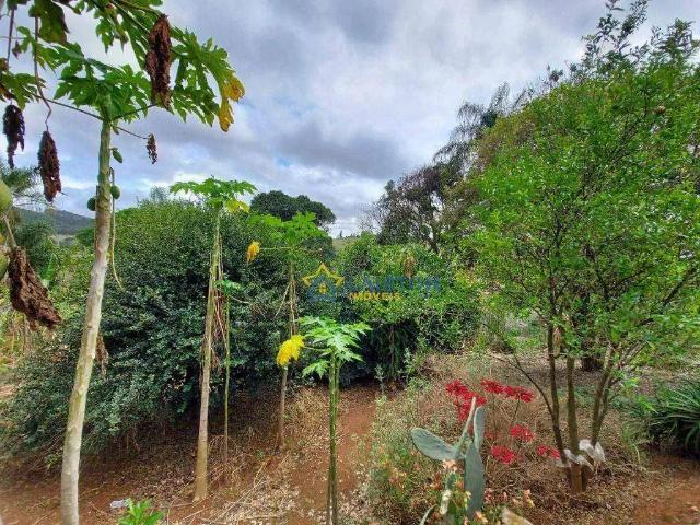 Terreno / Lote para Venda em Atibaia/SP Vila Santa Helena