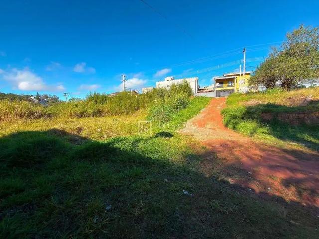 Terreno / Lote para Venda em Atibaia/SP Vila Santa Helena