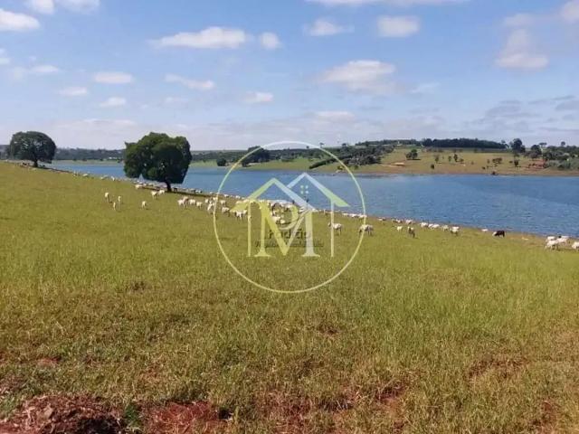 Terreno / Lote para Venda em Avaré/SP Área Rural de Avaré