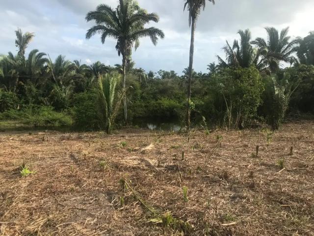 Terreno / Lote para Venda em Axixá/MA Centro