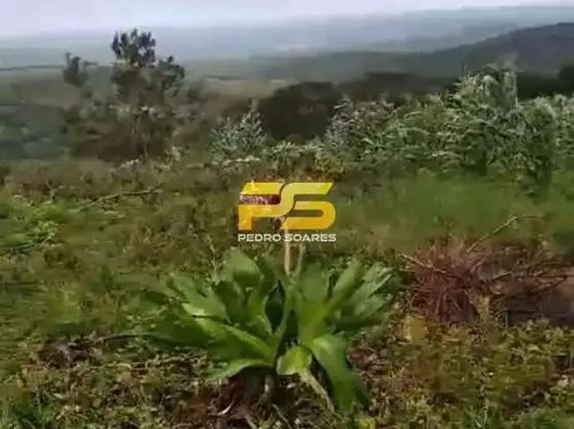 Terreno / Lote para Venda em Bananeiras/PB Chã Do Lindolfo