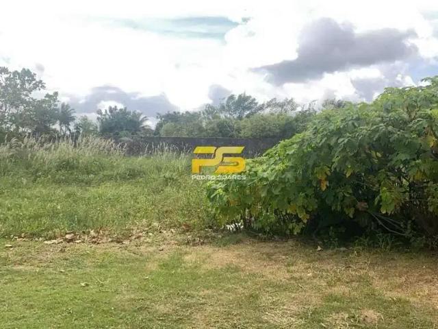 Terreno / Lote para Venda em Bananeiras/PB Chã Do Lindolfo