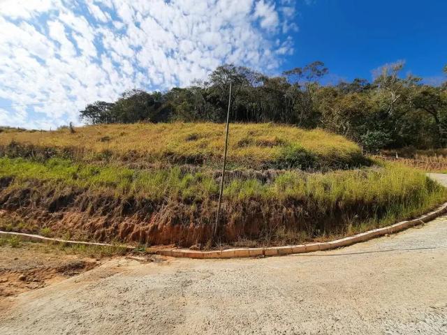 Terreno / Lote para Venda em Bandeira do Sul/MG Zona Rural