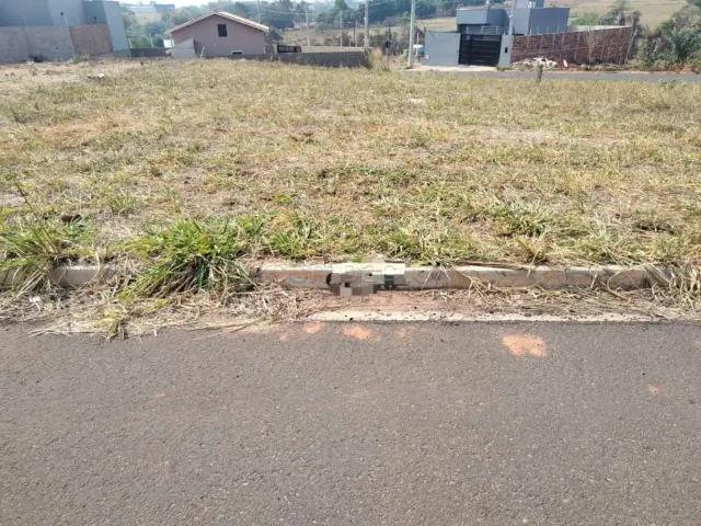 Terreno / Lote para Venda em Bady Bassitt/SP Zona Rural