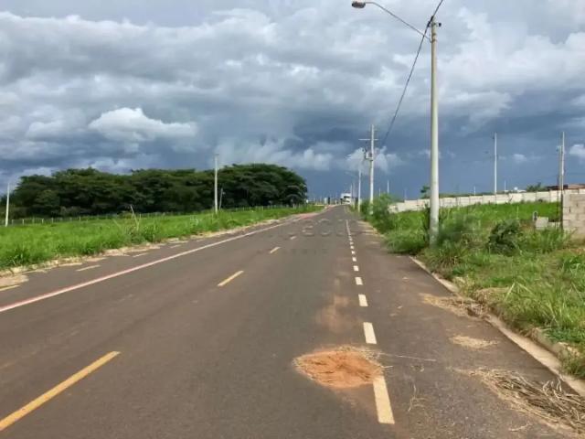 Terreno / Lote para Venda em Bady Bassitt/SP Zona Rural