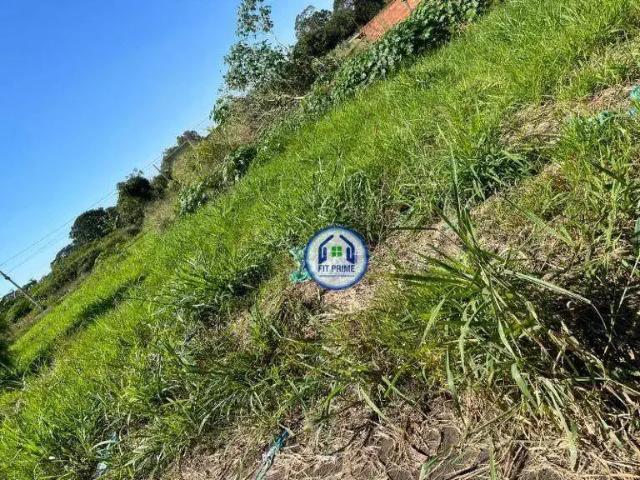 Terreno / Lote para Venda em Bady Bassitt/SP Avenida Parque