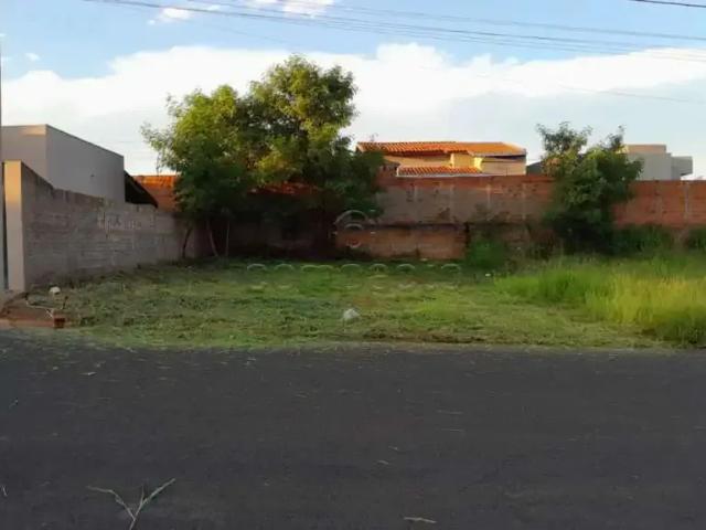 Terreno / Lote para Venda em Bady Bassitt/SP Avenida Parque