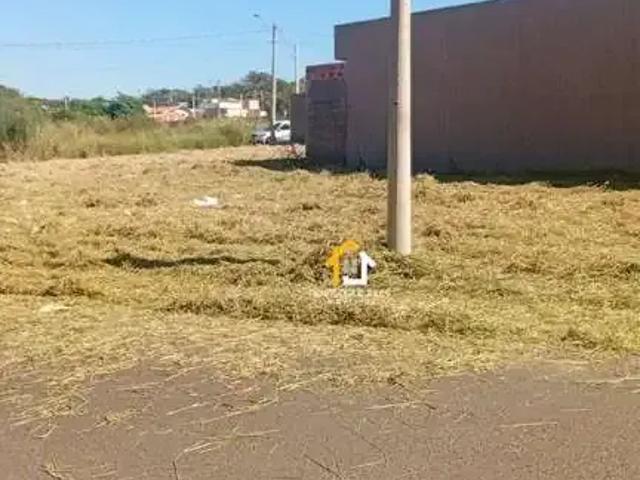 Terreno / Lote para Venda em Bady Bassitt/SP Avenida Parque