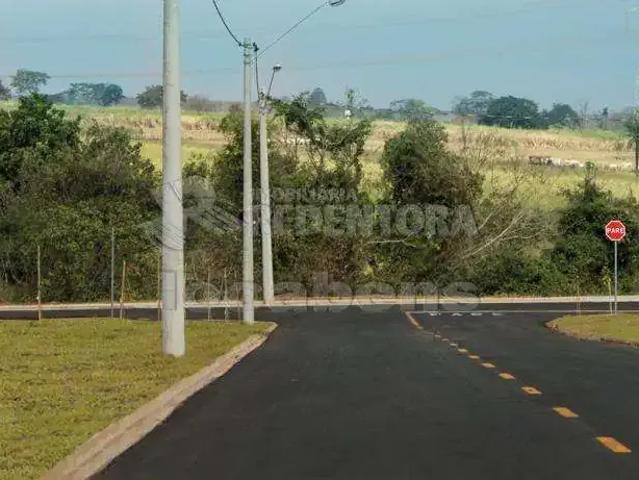Terreno / Lote para Venda em Bady Bassitt/SP Avenida Parque