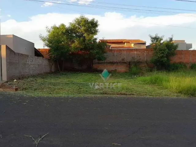 Terreno / Lote para Venda em Bady Bassitt/SP Avenida Parque