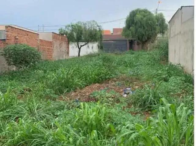 Terreno / Lote para Venda em Bady Bassitt/SP Avenida Parque