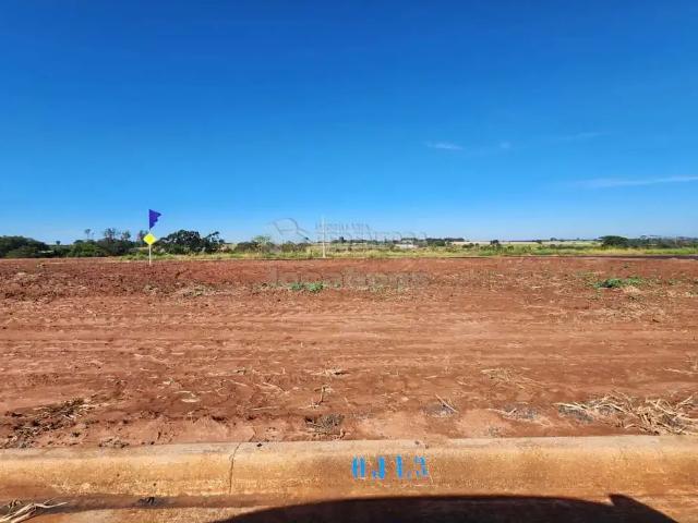 Terreno / Lote para Venda em Bady Bassitt/SP Borboleta I