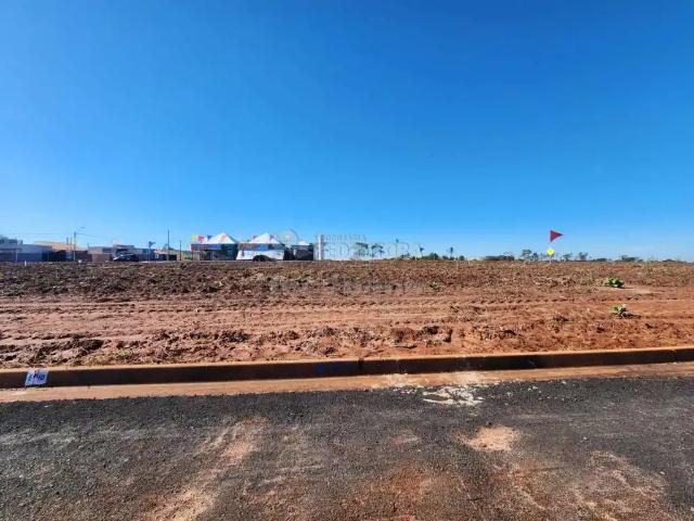 Terreno / Lote para Venda em Bady Bassitt/SP Borboleta I