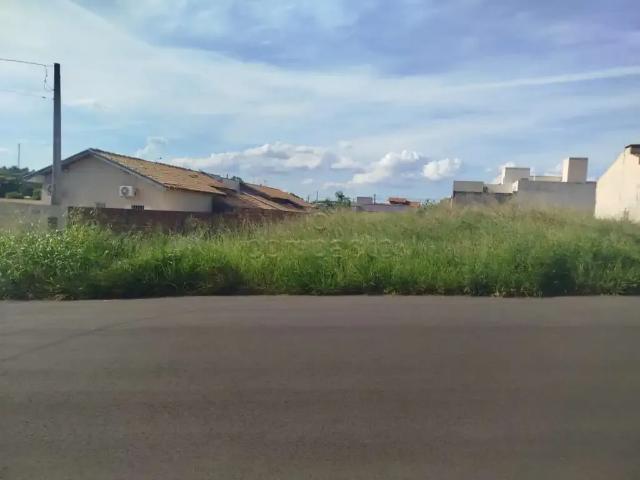 Terreno / Lote para Venda em Bady Bassitt/SP Borboleta I