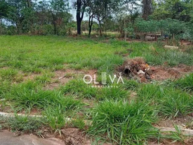 Terreno / Lote para Venda em Bady Bassitt/SP Bosque Das Laranjeiras