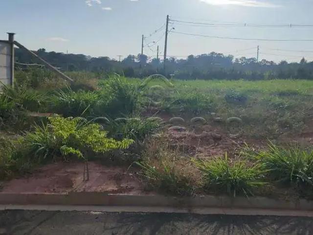 Terreno / Lote para Venda em Bady Bassitt/SP Centro
