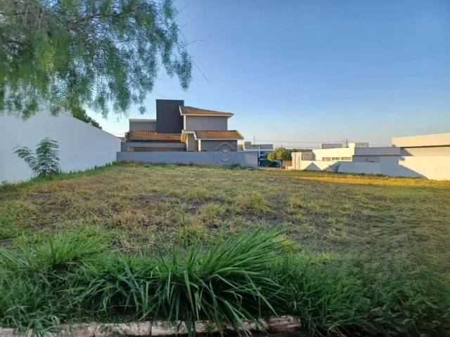 Terreno / Lote para Venda em Bady Bassitt/SP Centro
