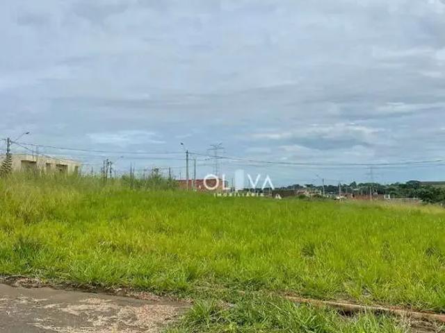 Terreno / Lote para Venda em Bady Bassitt/SP Jardim dos Ipês