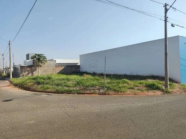 Terreno / Lote para Venda em Bady Bassitt/SP Jardim Menezes