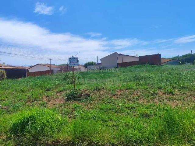 Terreno / Lote para Venda em Bady Bassitt/SP Jardim Menezes