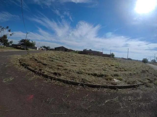 Terreno / Lote para Venda em Bady Bassitt/SP Jardim Menezes