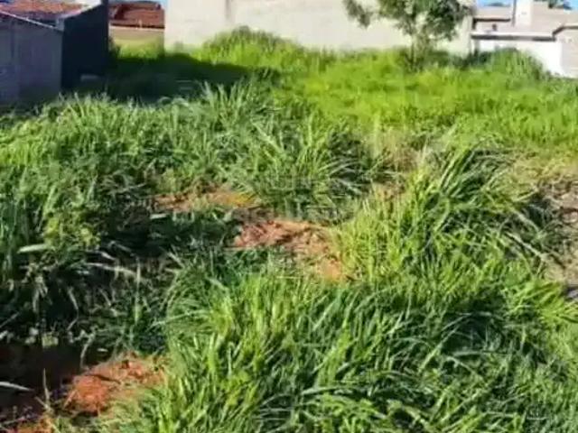 Terreno / Lote para Venda em Bady Bassitt/SP Jardim Menezes