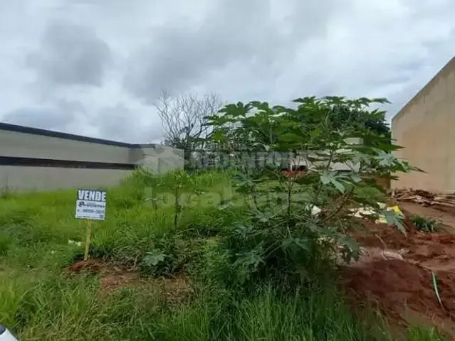 Terreno / Lote para Venda em Bady Bassitt/SP Jardim Menezes