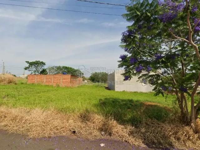 Terreno / Lote para Venda em Bady Bassitt/SP Jardim Menezes