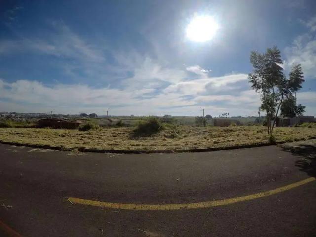 Terreno / Lote para Venda em Bady Bassitt/SP Jardim Menezes