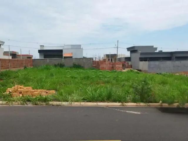 Terreno / Lote para Venda em Bady Bassitt/SP Jardim Menezes