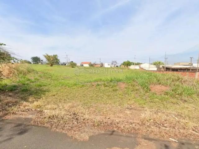 Terreno / Lote para Venda em Bady Bassitt/SP Jardim Menezes