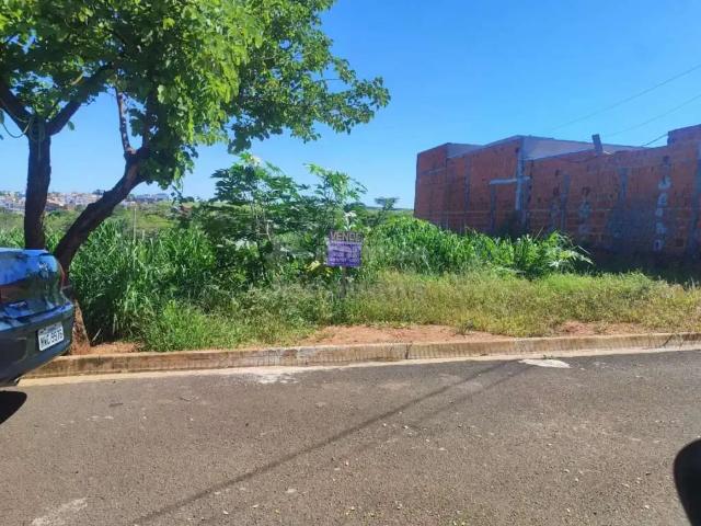 Terreno / Lote para Venda em Bady Bassitt/SP Jardim Menezes