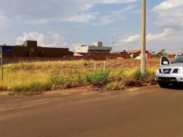 Terreno / Lote para Venda em Bady Bassitt/SP Jardim Menezes